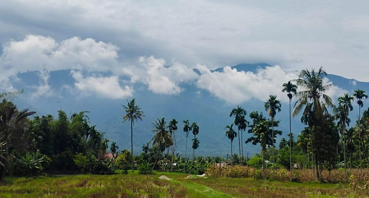 4 Pulau di Aceh Singkil Diklaim Milik Sumut, Ternyata 13 Desa di Aceh Tenggara Pernah Terjadi ...
